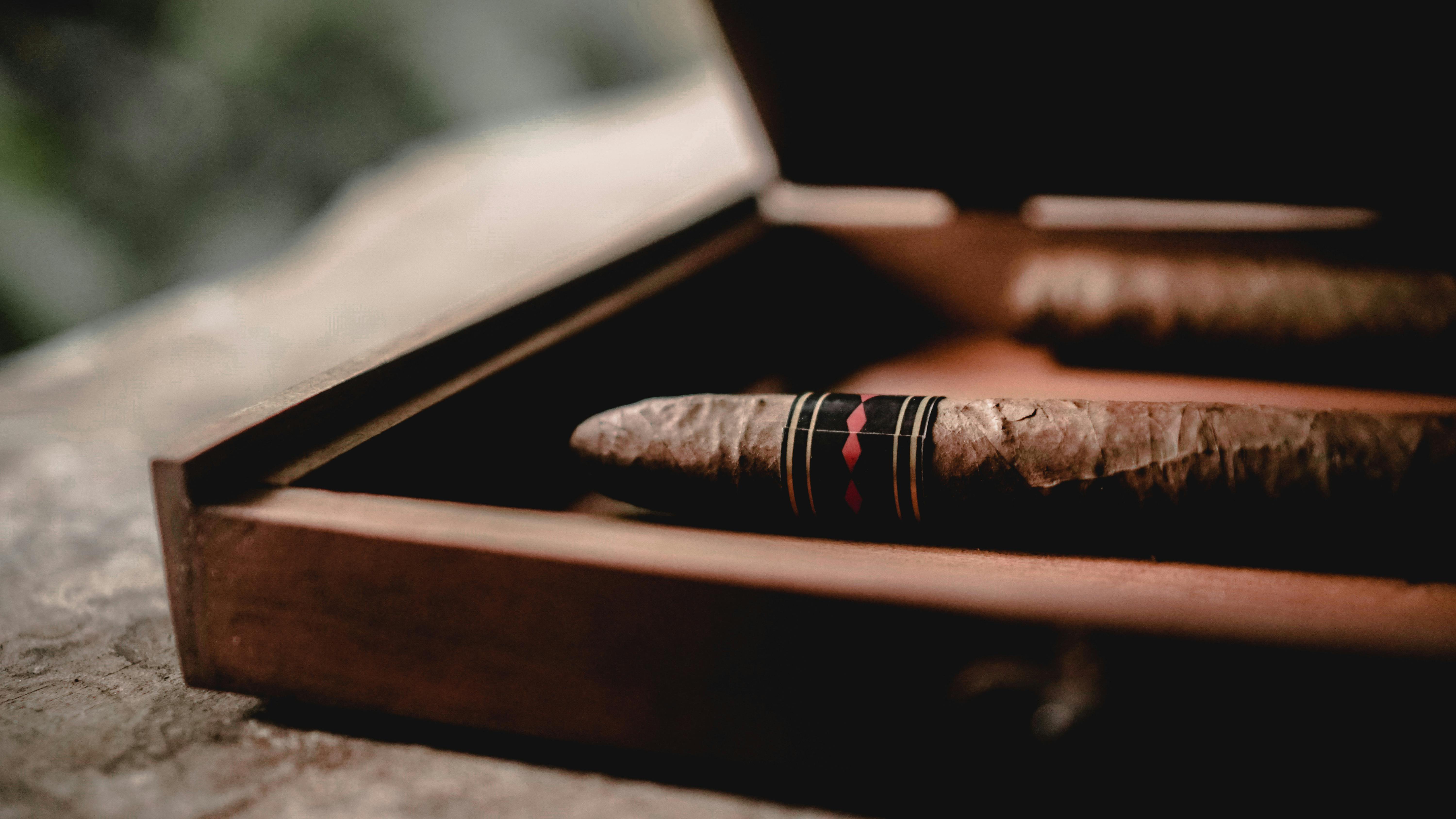 Cigars – Lions Pride
